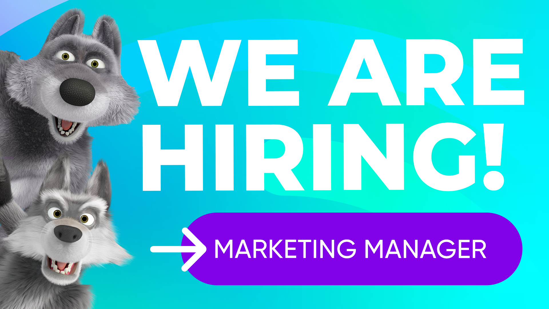 Animaccord | Animaccord Animation Studio